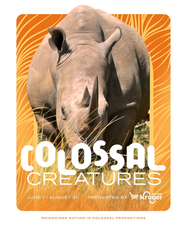 Colossal Creatures – ruth mudroch