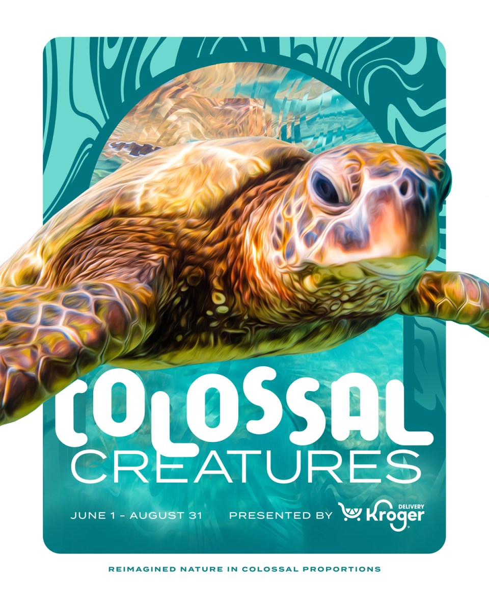 Colossal Creatures – ruth mudroch